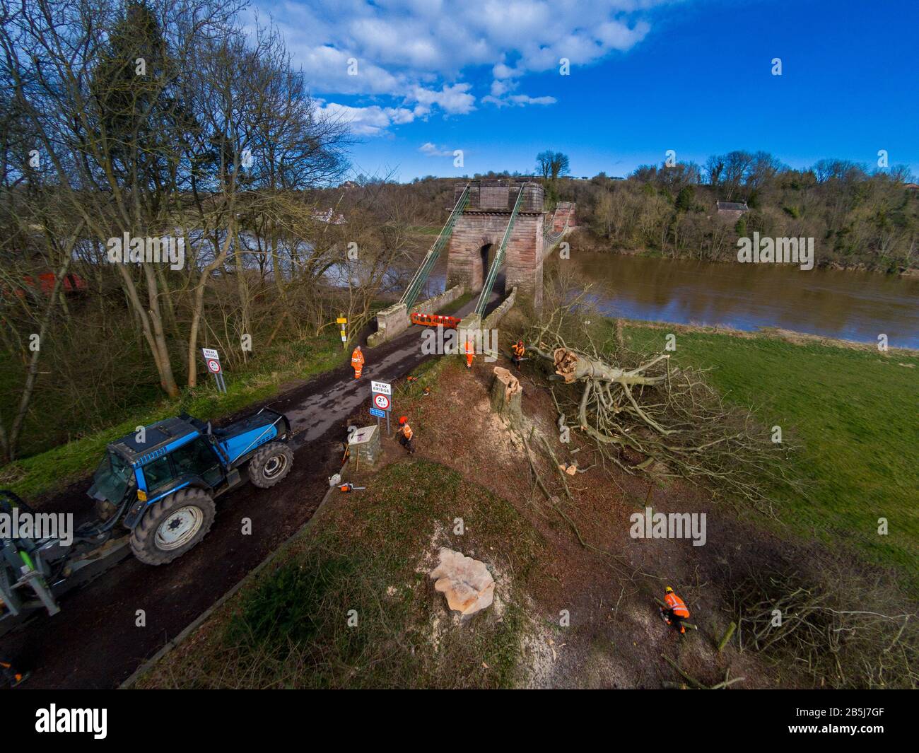 Clearing trees on the Scottish side of the border so work can commence ...