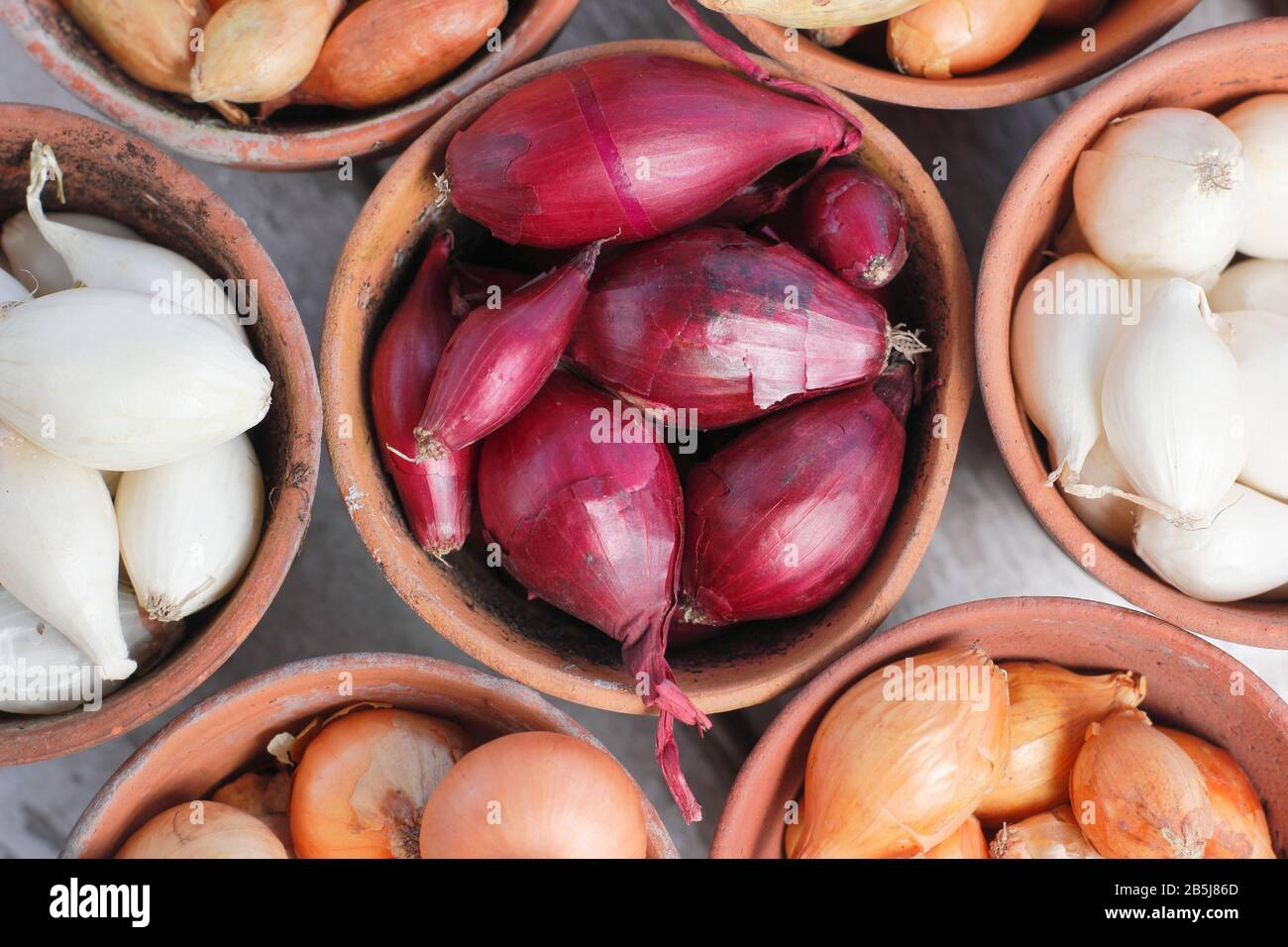 Onion sets containers hi-res stock photography and images - Alamy