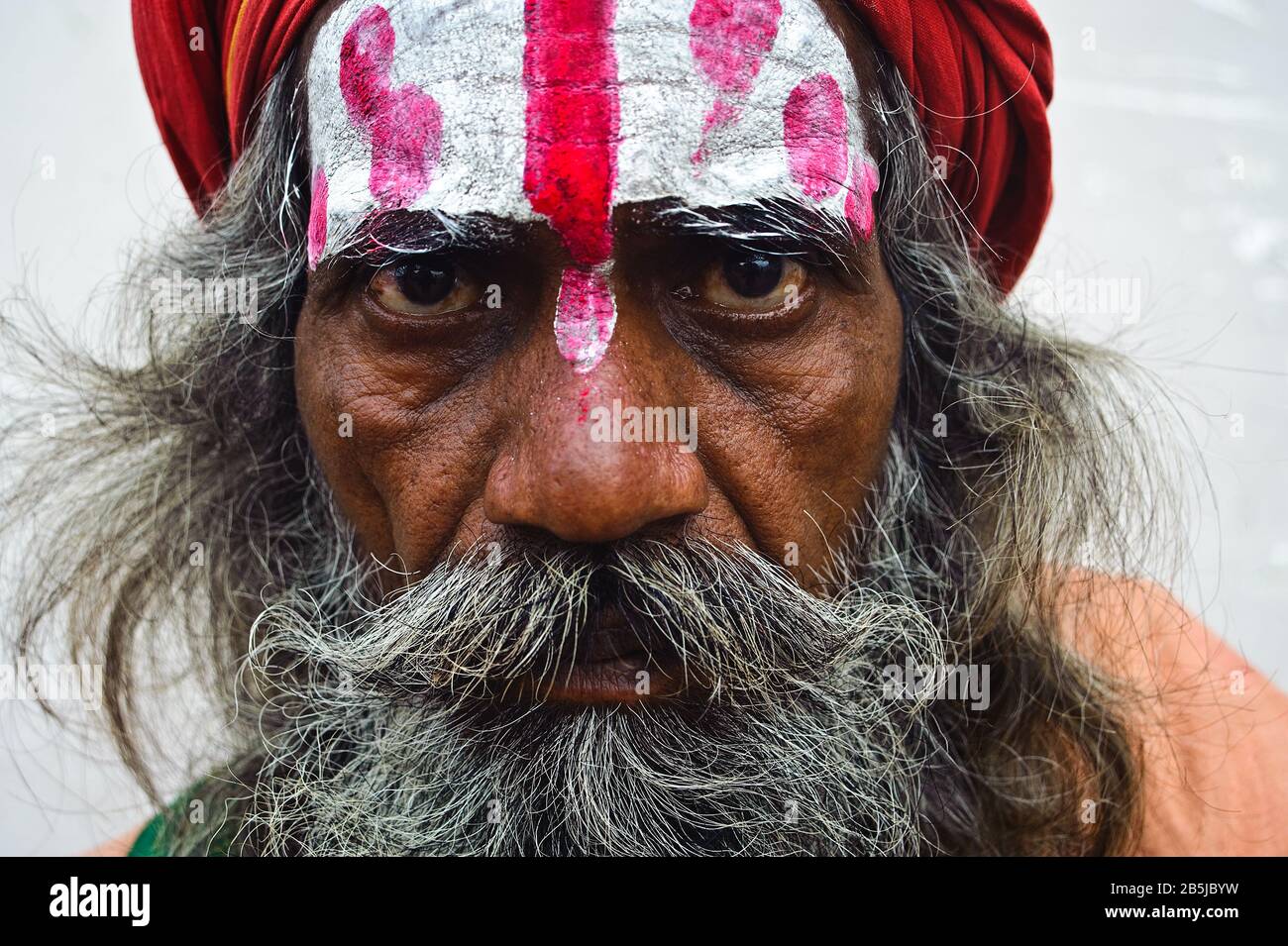 Hindu ascetic ("sadhu") ( India Stock Photo - Alamy