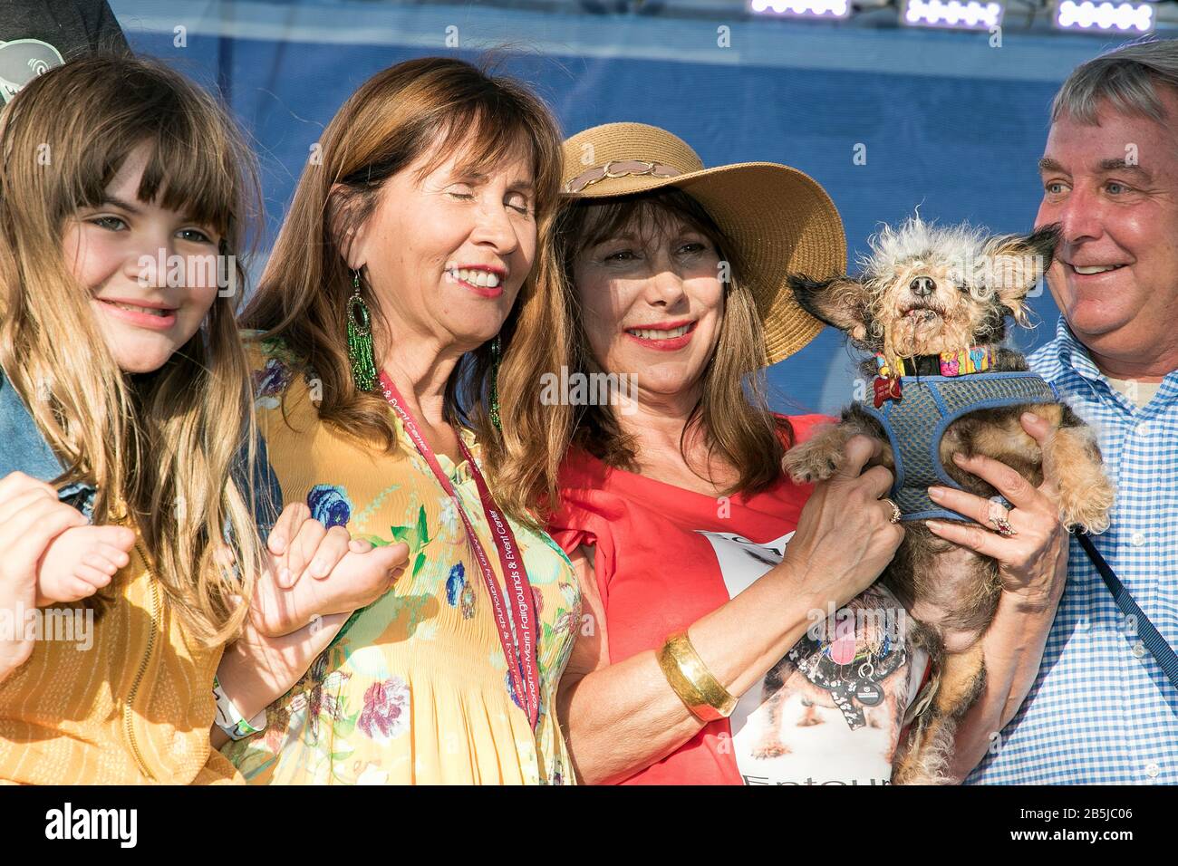 Scamp The Tramp High Resolution Stock Photography and Images - Alamy