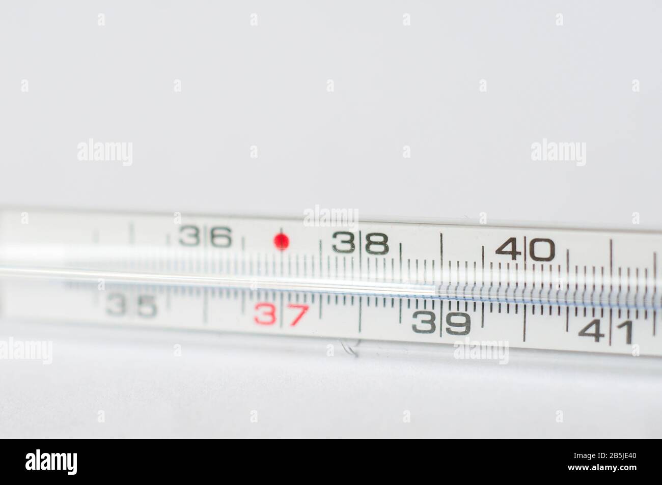Mercury thermometer, on white background showing 39 degrees Celsius ...