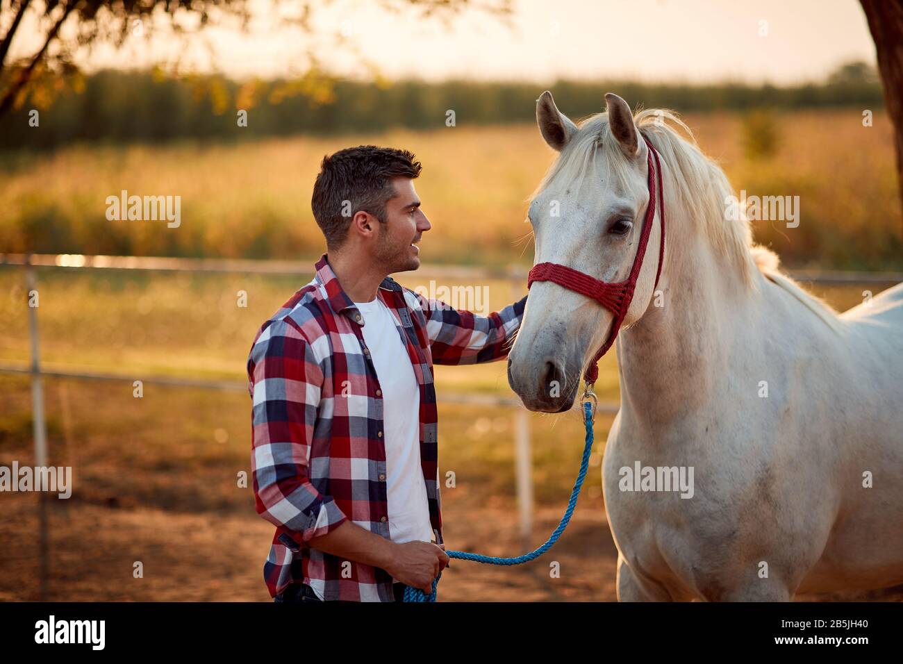 Loving tender moment between men and horse.Young smiling man and horse ...