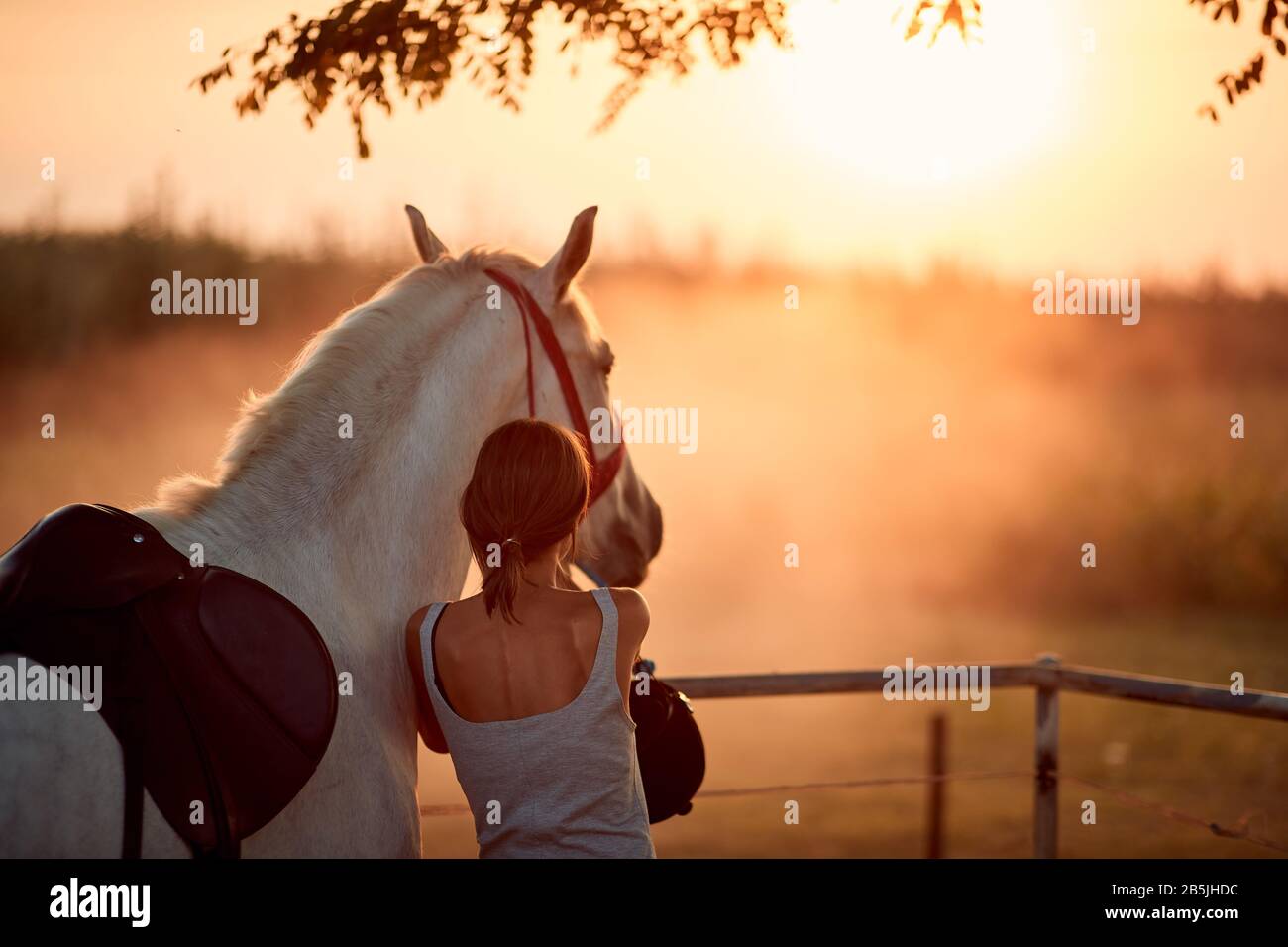 Young rider girl with her beautiful horse at sunset Stock Photo - Alamy