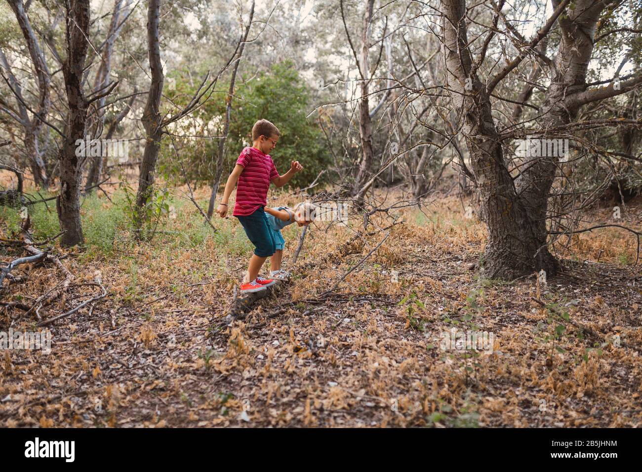 Two kids playing in the forest Stock Photo - Alamy