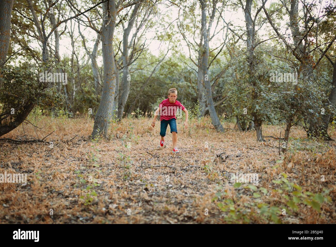 Two kids playing in the forest Stock Photo - Alamy