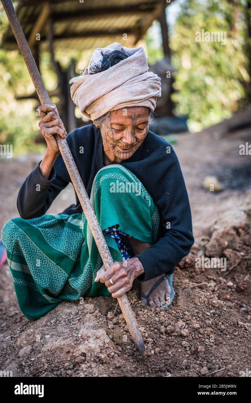 Local woman with tattooed face from village Mindat, Chin state, Myanmar ...