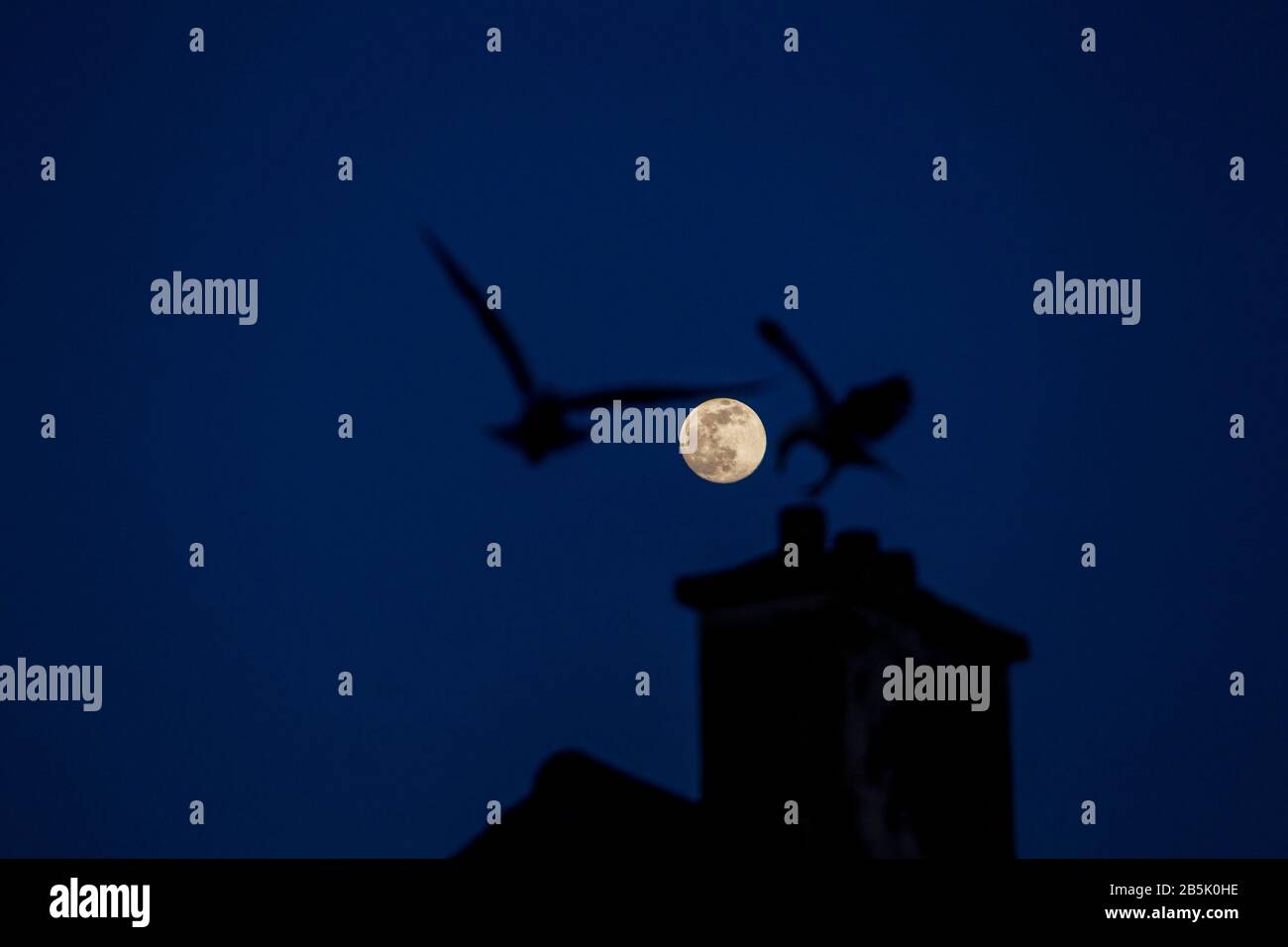 Full moon stars uk hi-res stock photography and images - Alamy