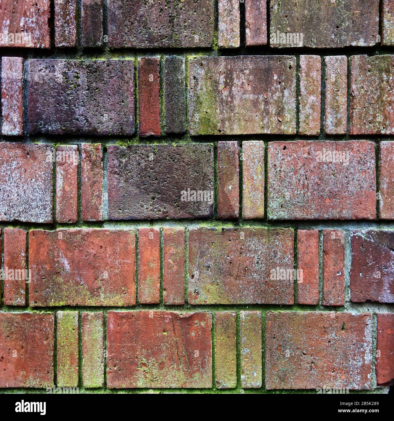 Brick wall texture pattern with green algae and stained patterns on the ...