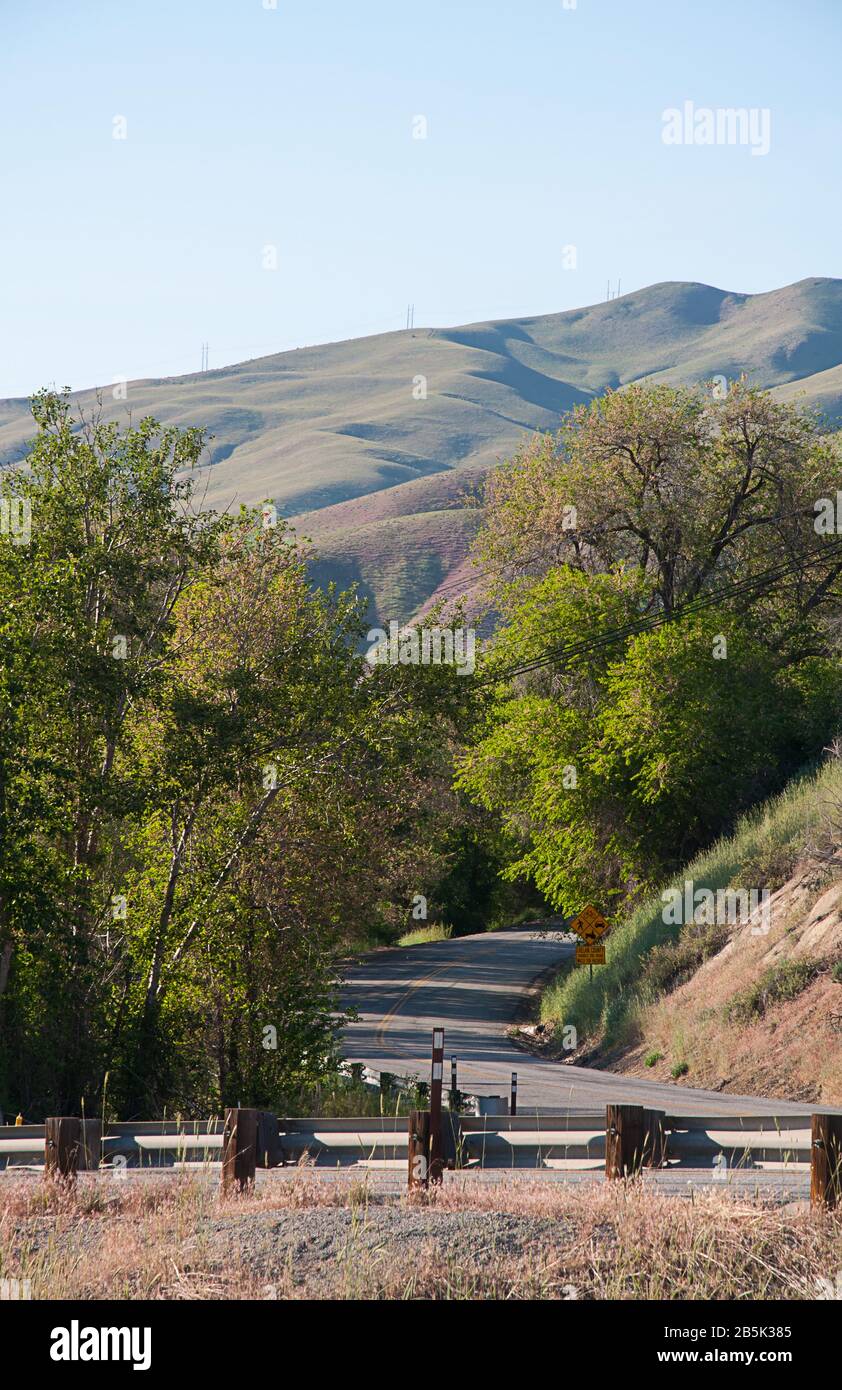 Country road landscape with gentle rolling hills with a curved street ...