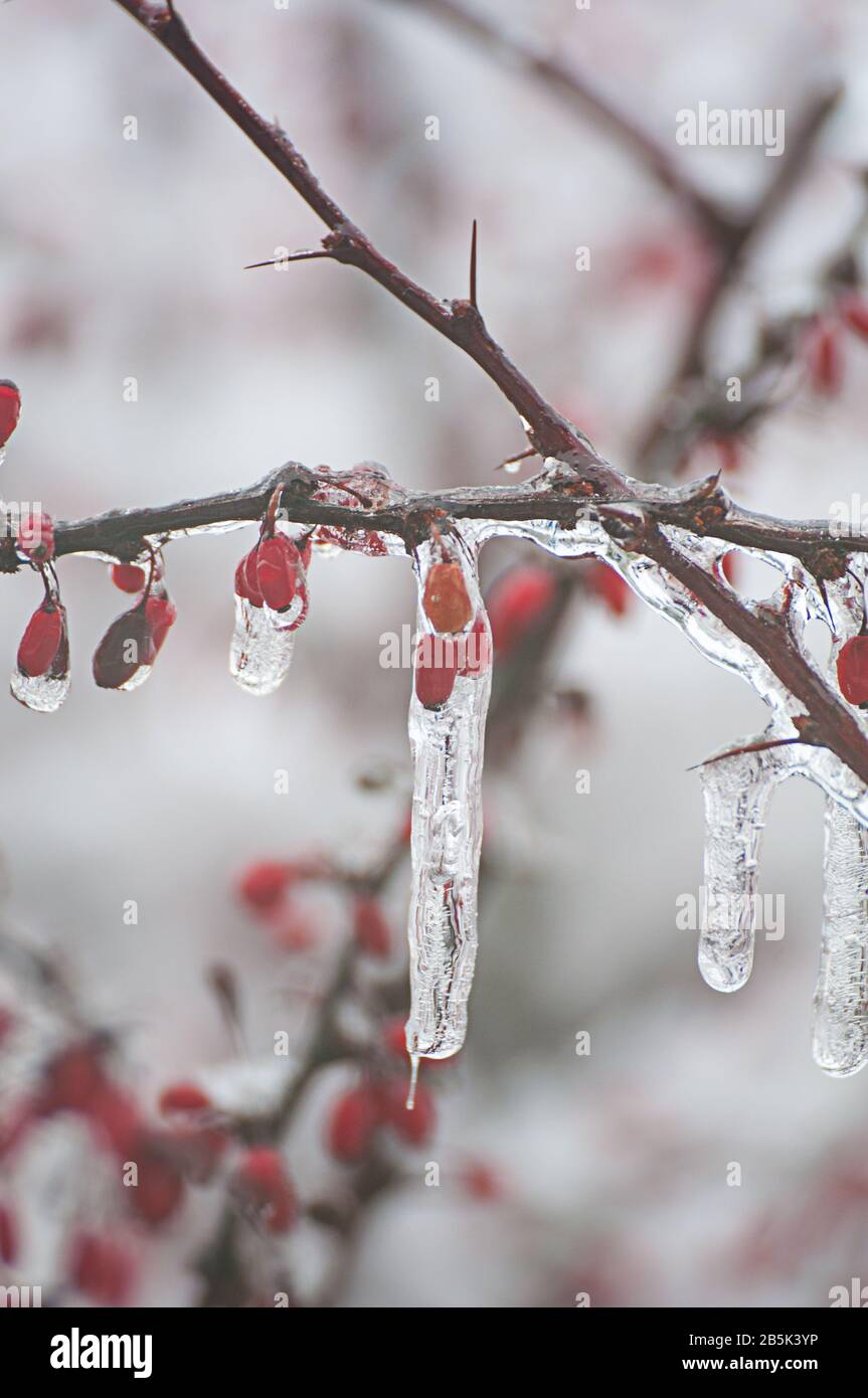 Icles hi-res stock photography and images - Alamy