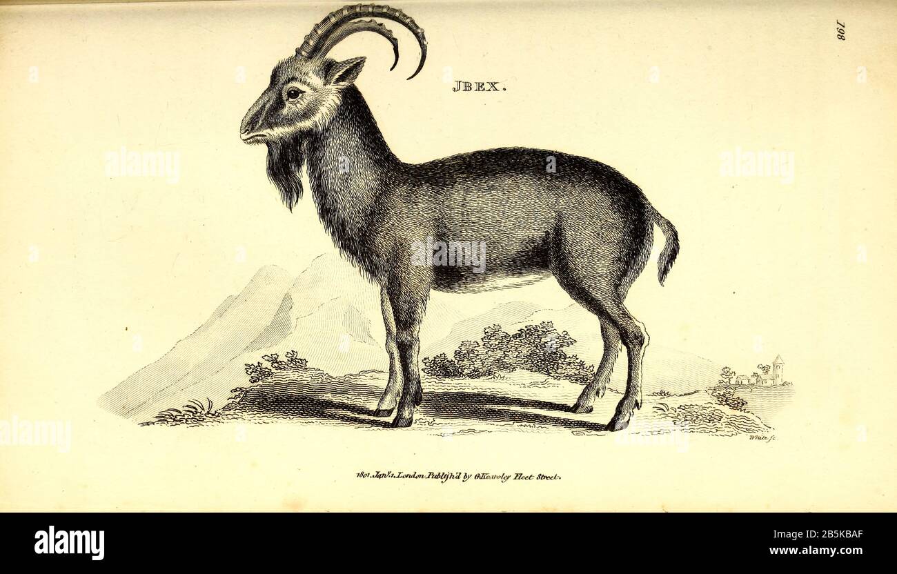 Jbex hi-res stock photography and images - Alamy