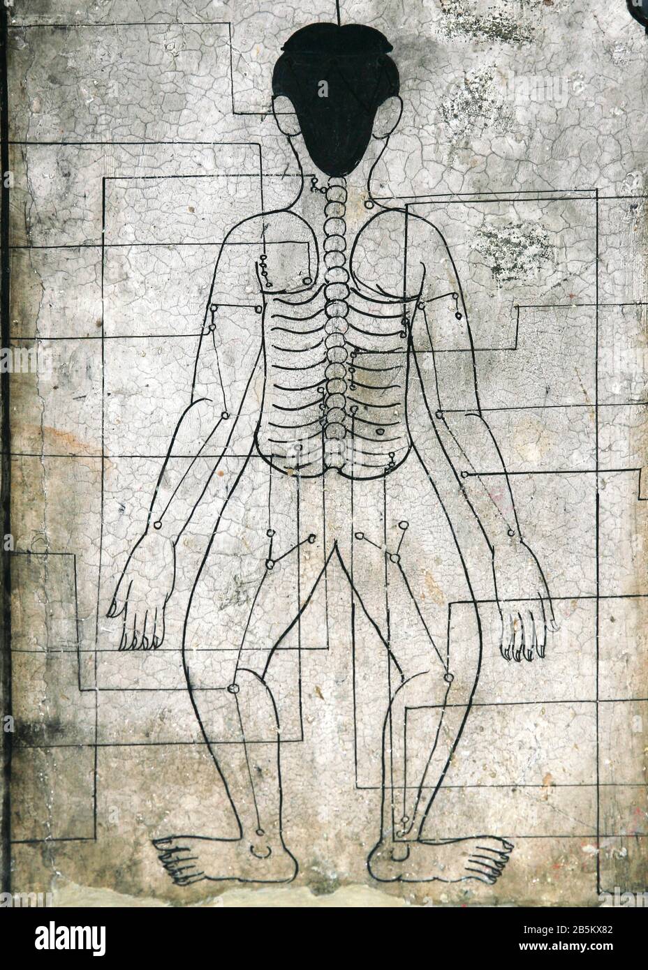 Acupuncture drawing hi-res stock photography and images - Alamy