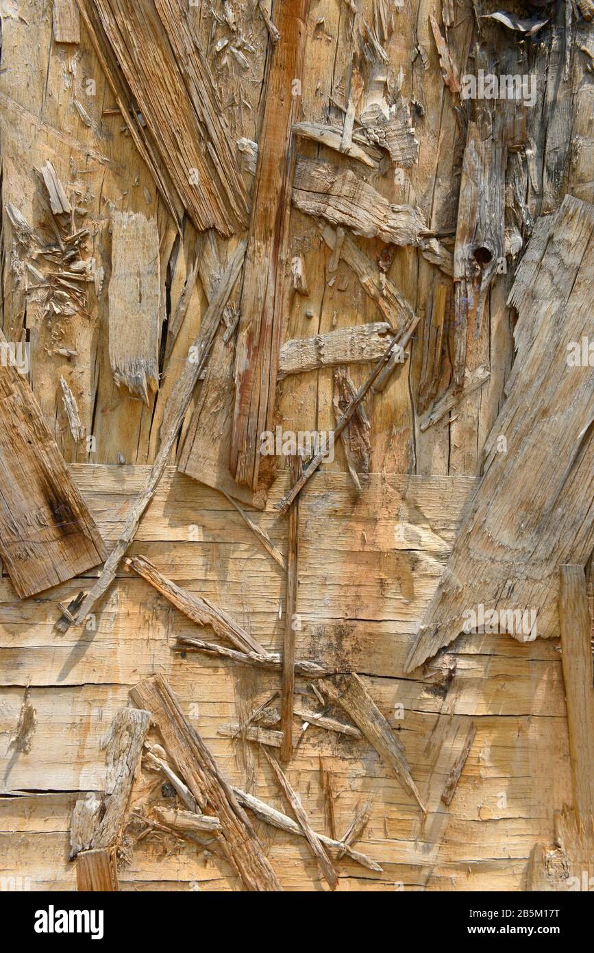 China plywood hi-res stock photography and images - Alamy