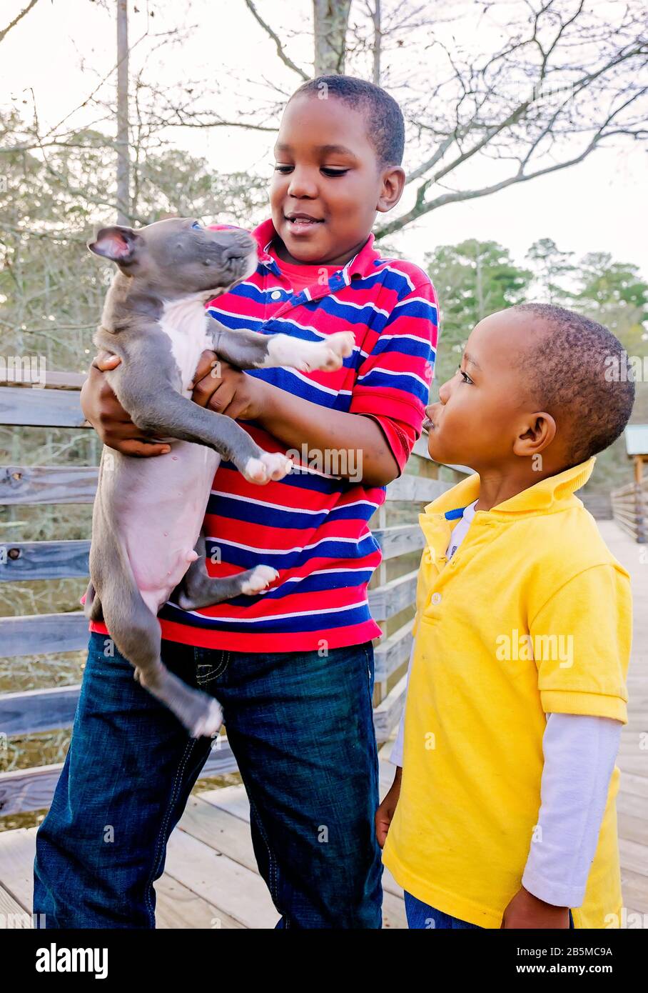 Pitbull And His Children