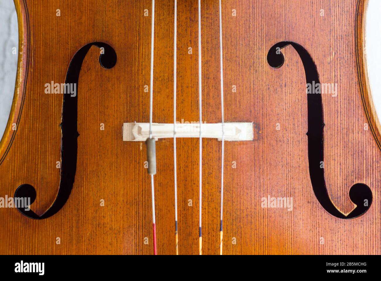 light brown cello on white background Stock Photo - Alamy