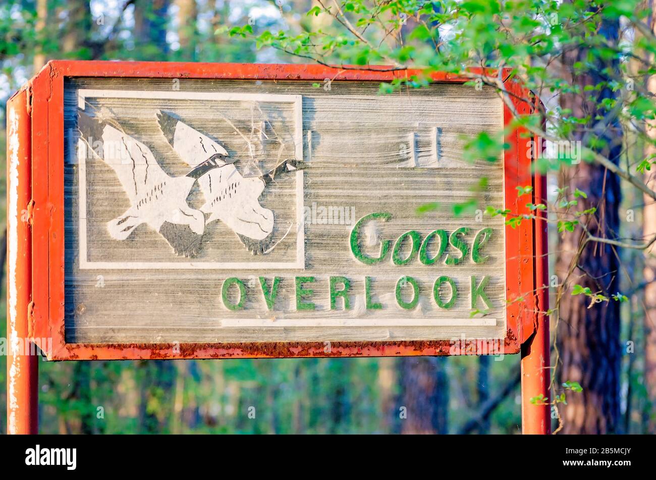 The Goose Overlook sign is pictured at Sam D. Hamilton Noxubee Wildlife ...