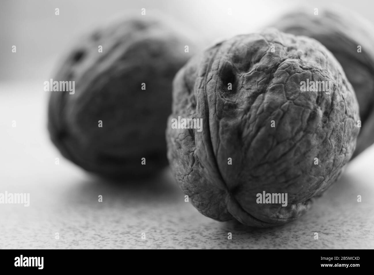 Black walnut Black and White Stock Photos & Images - Alamy