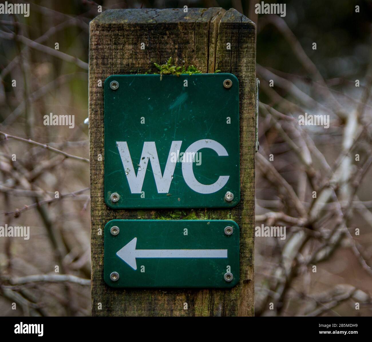 Green wc hi-res stock photography and images - Alamy