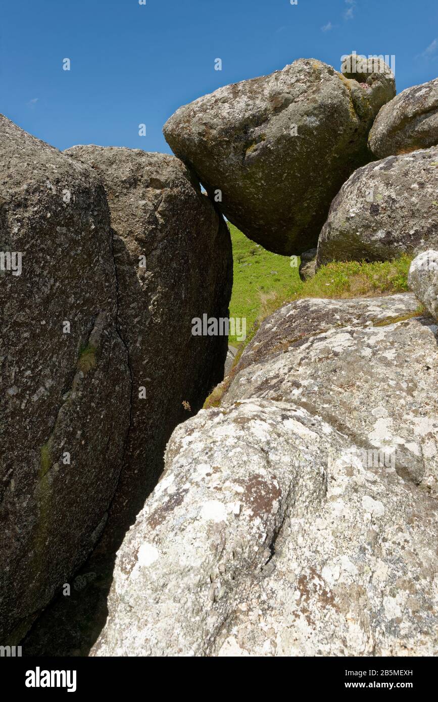 Granite Rocks at Bell Tor, Bonehill Down, Dartmoor, Devon, UK Stock ...