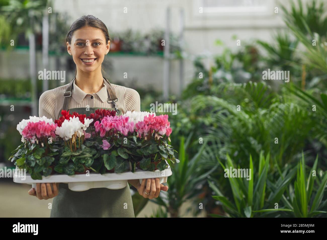 Young florist holding tray small hi-res stock photography and images ...