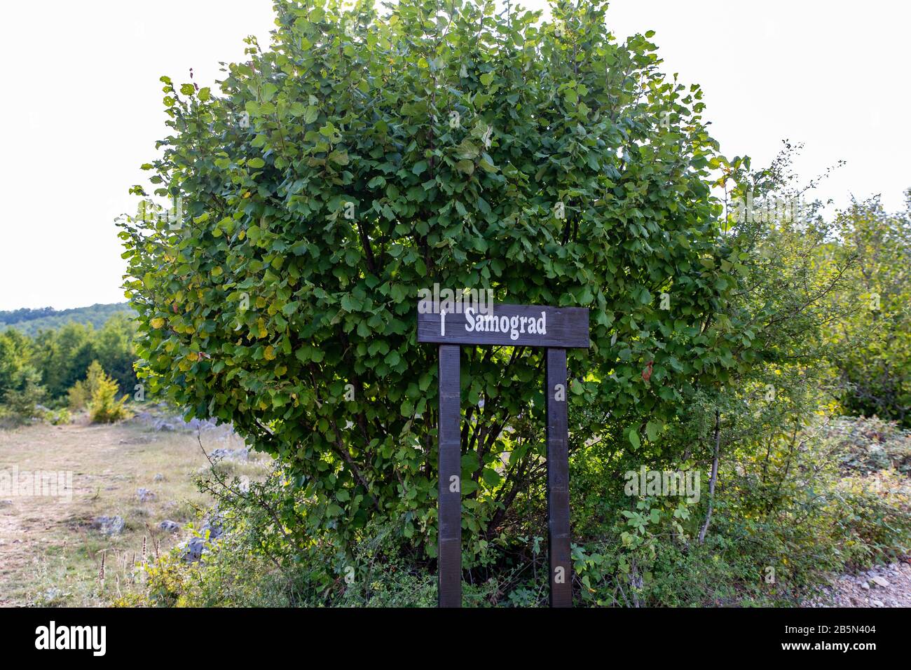 Samograd hi-res stock photography and images - Alamy