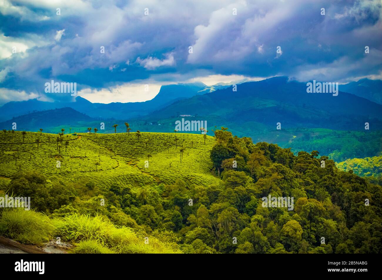 Pollachi hi-res stock photography and images - Alamy