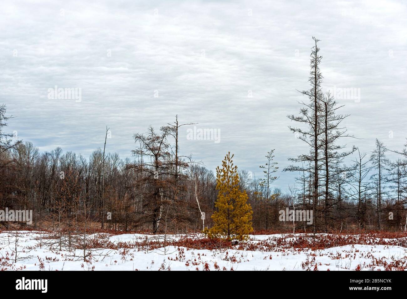 Rural conservation hi-res stock photography and images - Alamy
