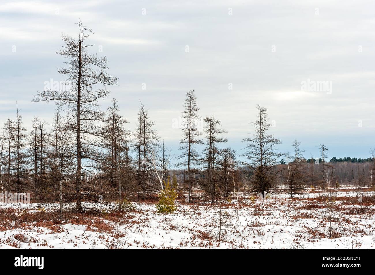 Rural conservation hi-res stock photography and images - Alamy