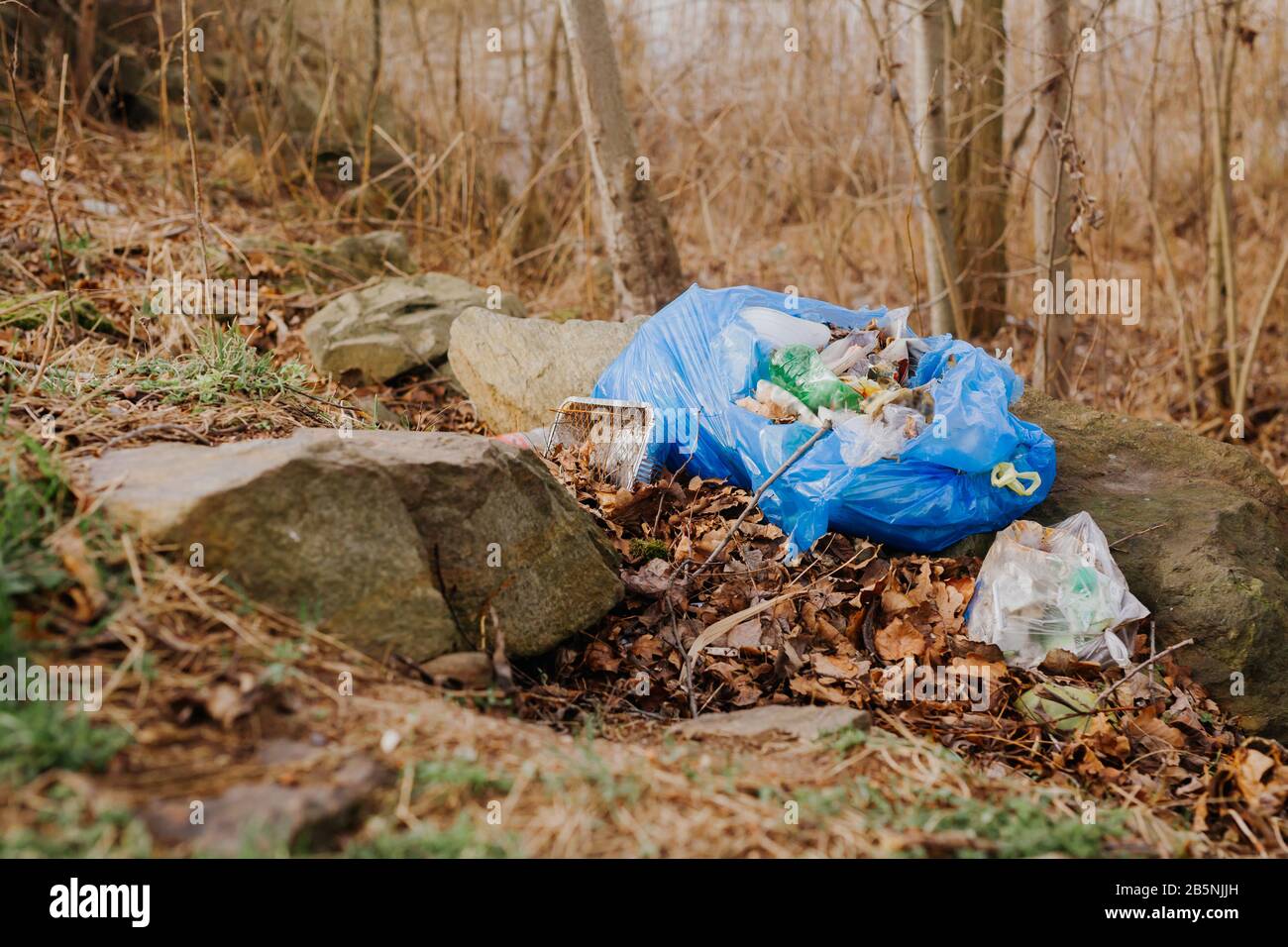 Close up shot of garbage thrown by people in forest. Environment ...