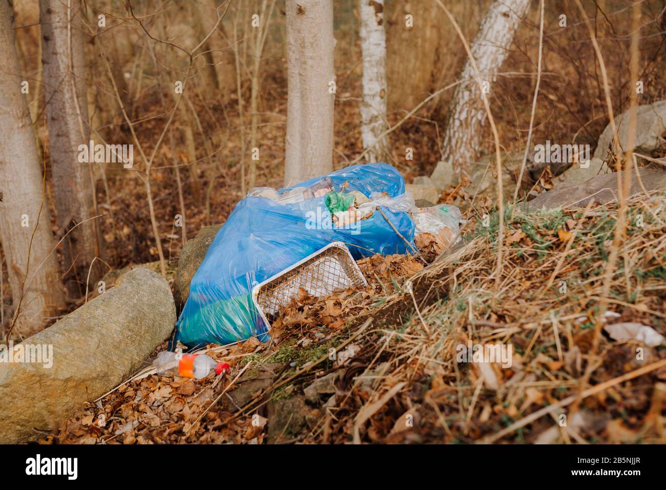 Litter in woods hi-res stock photography and images - Alamy