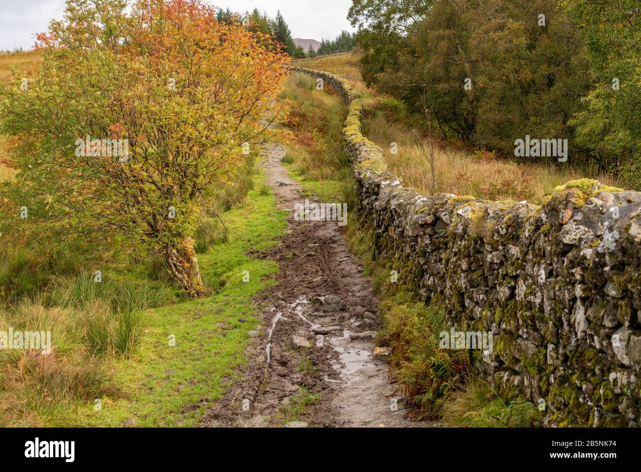 A muddy trail winds along an old stone wall. Taken while exploring ...
