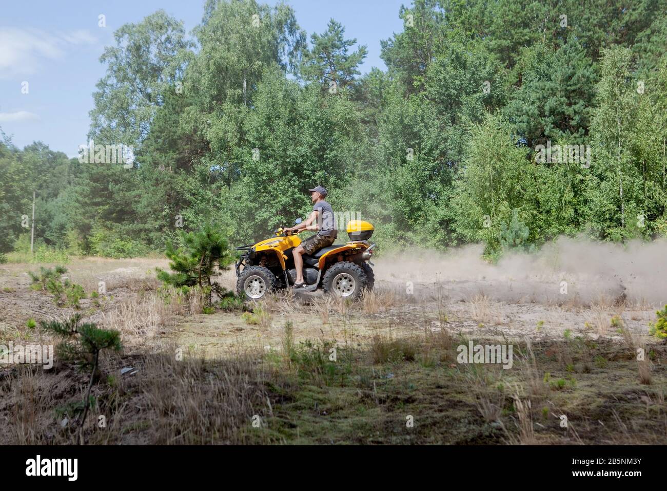 Man riding a yellow quad ATV all terrain vehicle on a sandy forest ...