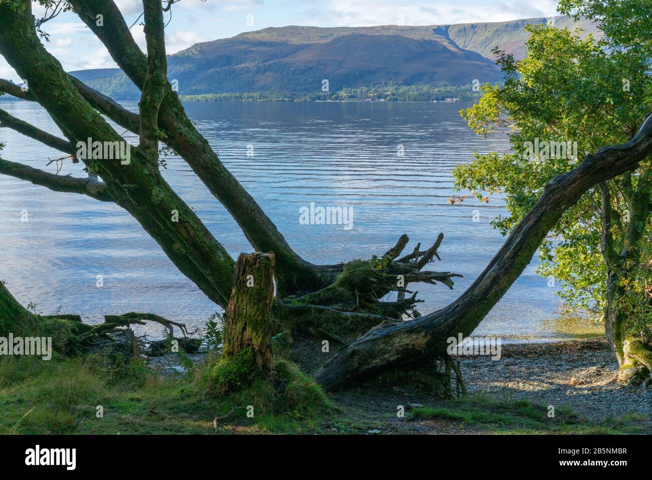 Loch-side view taken while exploring Scotland's West Highland Way ...