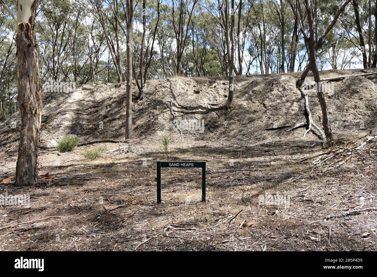 Sand Heaps from Gold mining, North British Mine, which was the largest ...