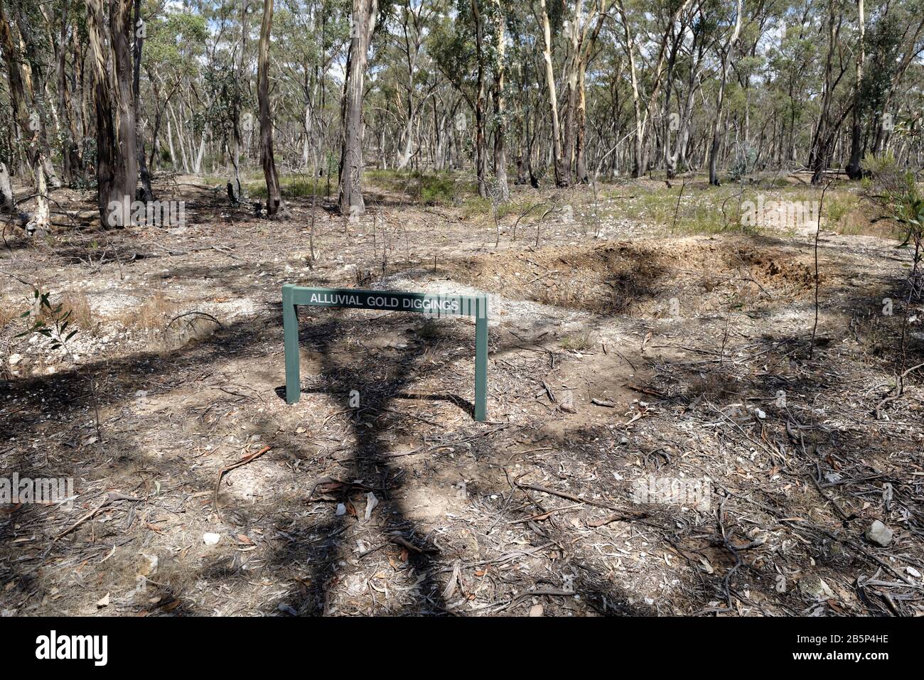 Alluvial gold mining hi-res stock photography and images - Alamy