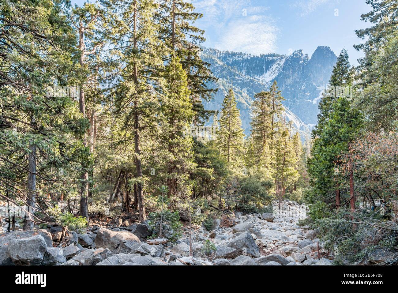 Yosemite National Park Valley, forest with colorful trees and ancient ...