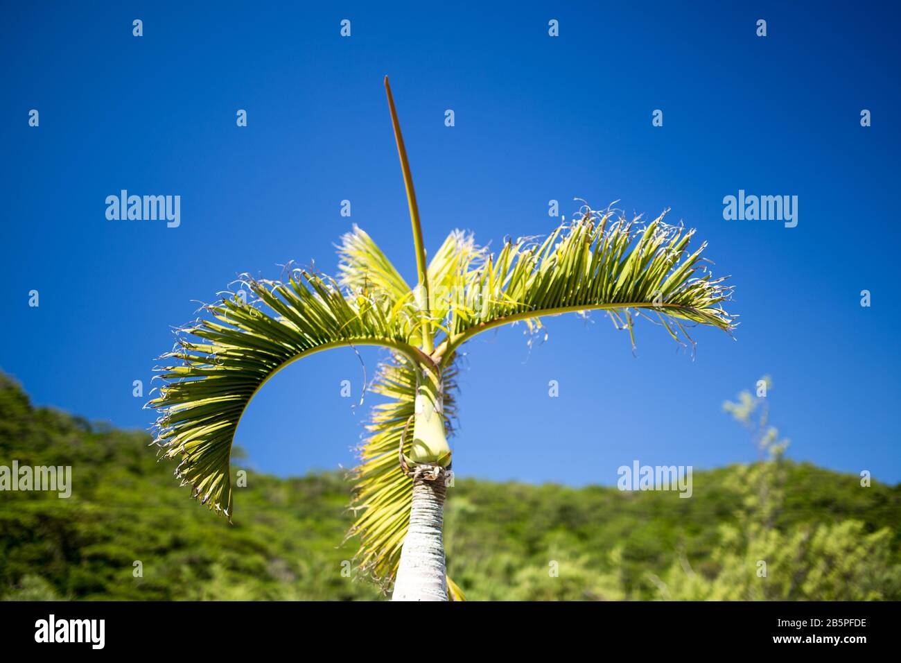 Zamami Beach in Okinawa, Japan, the most beautiful sea in the world ...