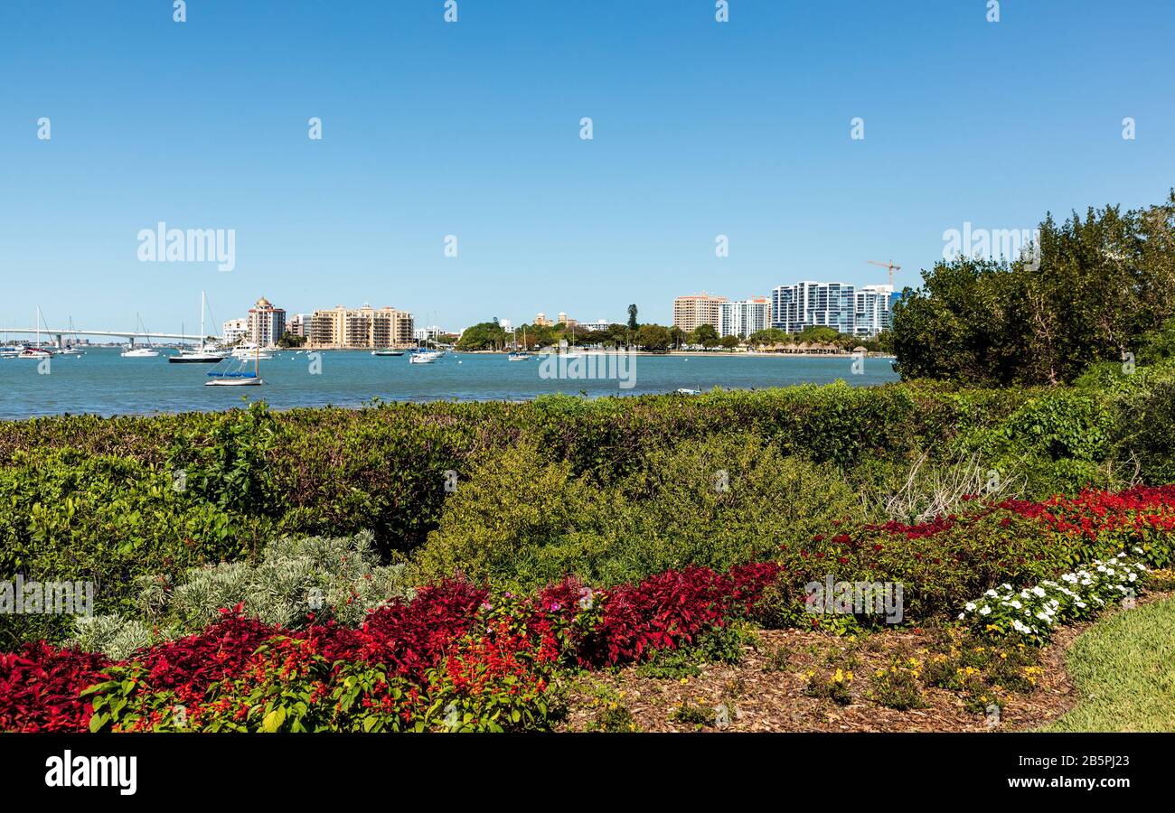Sarasota Bay with the John Ringling Causeway bridge in the background ...