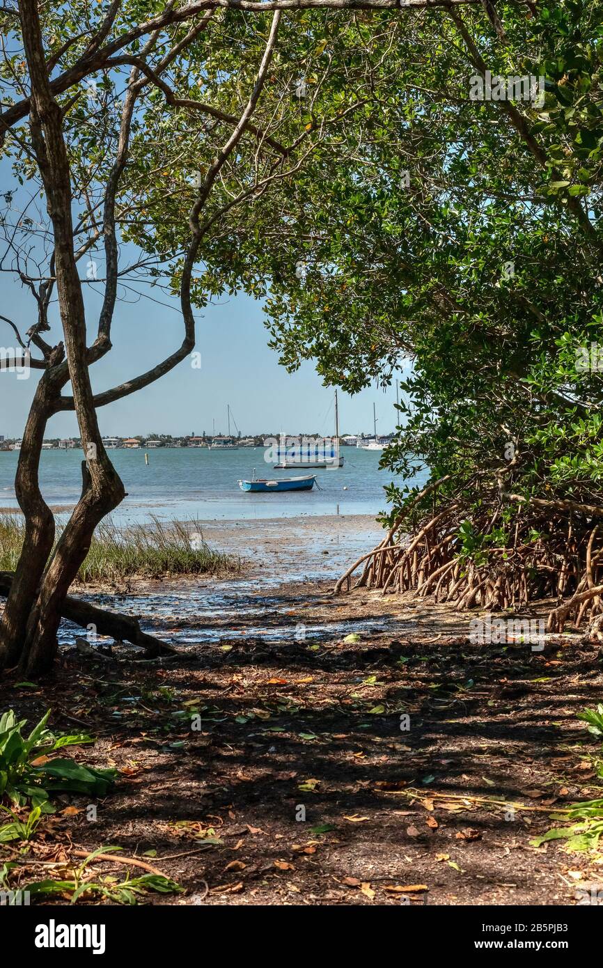 Sarasota Bay with the John Ringling Causeway bridge in the background ...