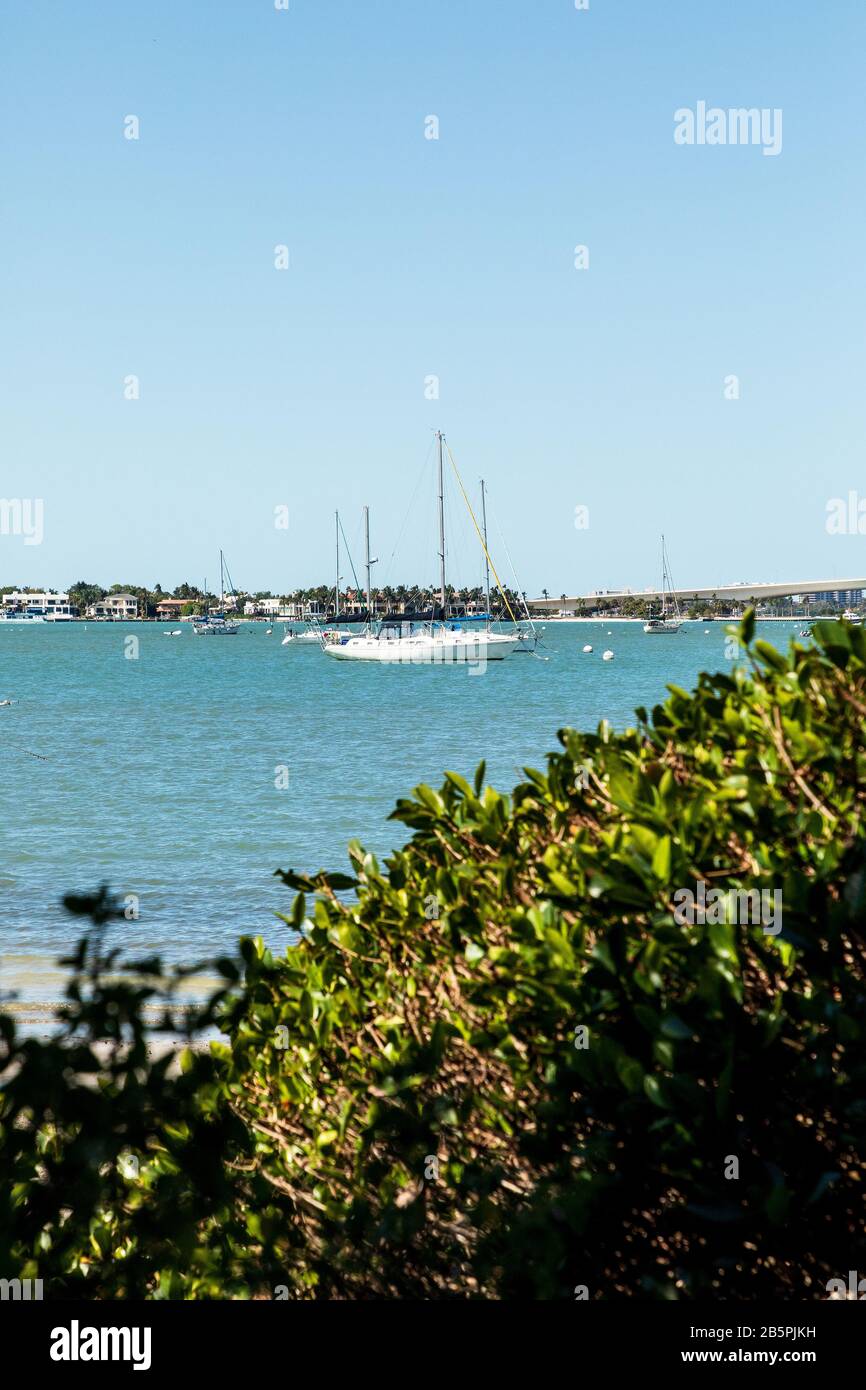 Sarasota Bay with the John Ringling Causeway bridge in the background ...