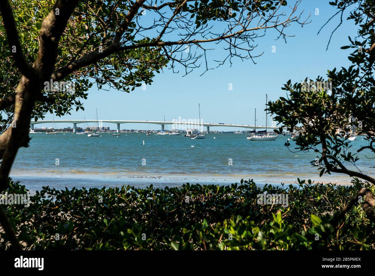 Sarasota Bay with the John Ringling Causeway bridge in the background ...