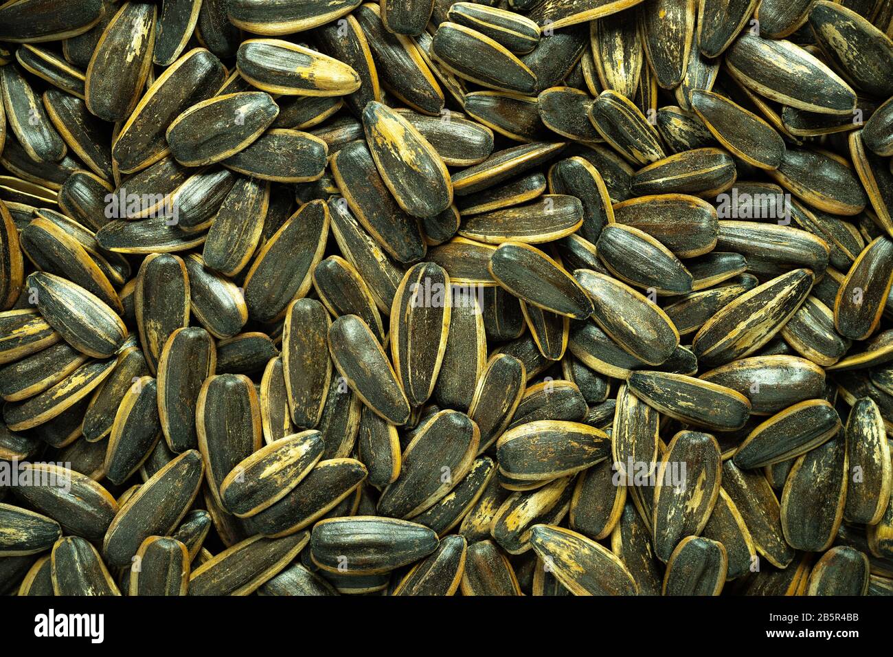 Vegetable Seeds High Resolution Stock Photography and Images - Alamy