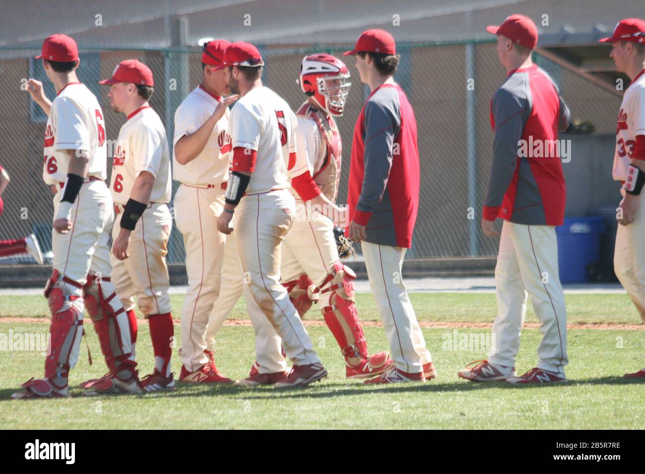 Wash U(St. Louis Campus) Baseball Stock Photo - Alamy