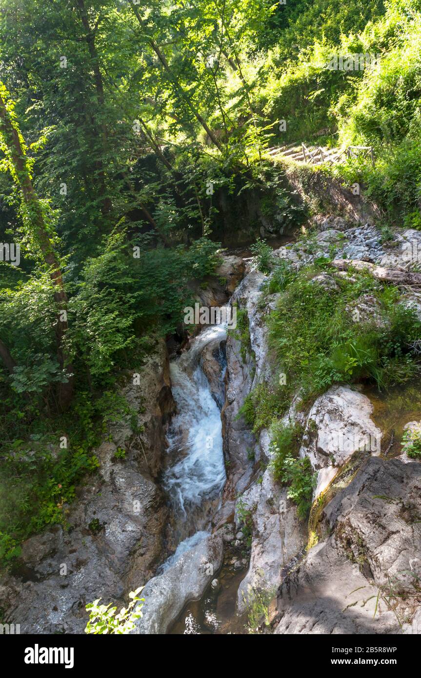 Green surroundings hi-res stock photography and images - Alamy