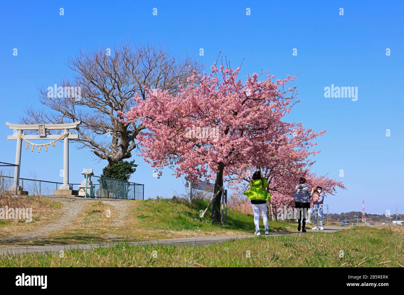 Japan chiba river hi-res stock photography and images - Alamy