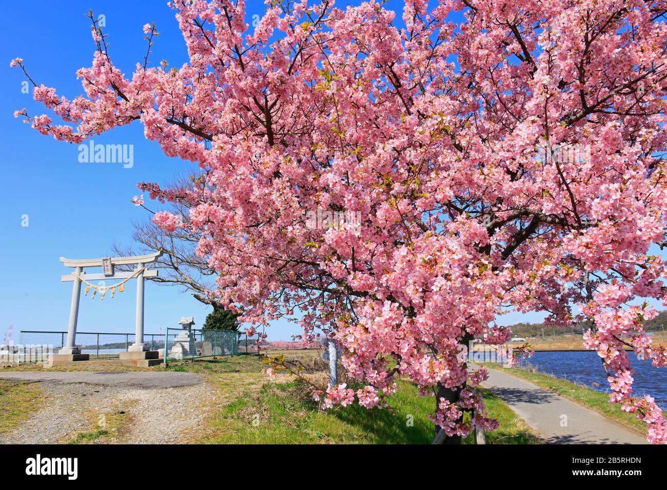 Japan chiba river hi-res stock photography and images - Alamy