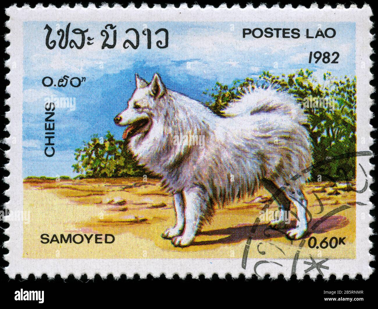 Samoyed peoples hi-res stock photography and images - Alamy