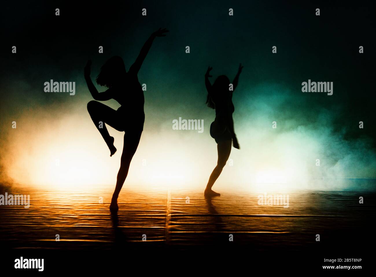 Elegant ballet dancers exercising poses during a dance class Stock ...