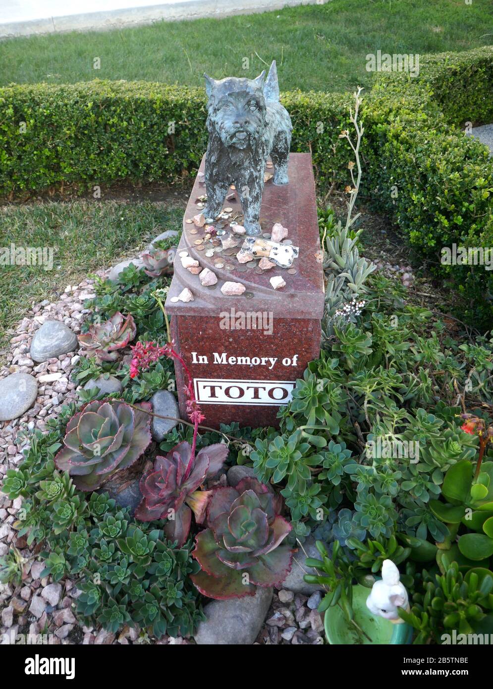 Hollywood, California, USA 7th March 2020 A general view of atmosphere ...