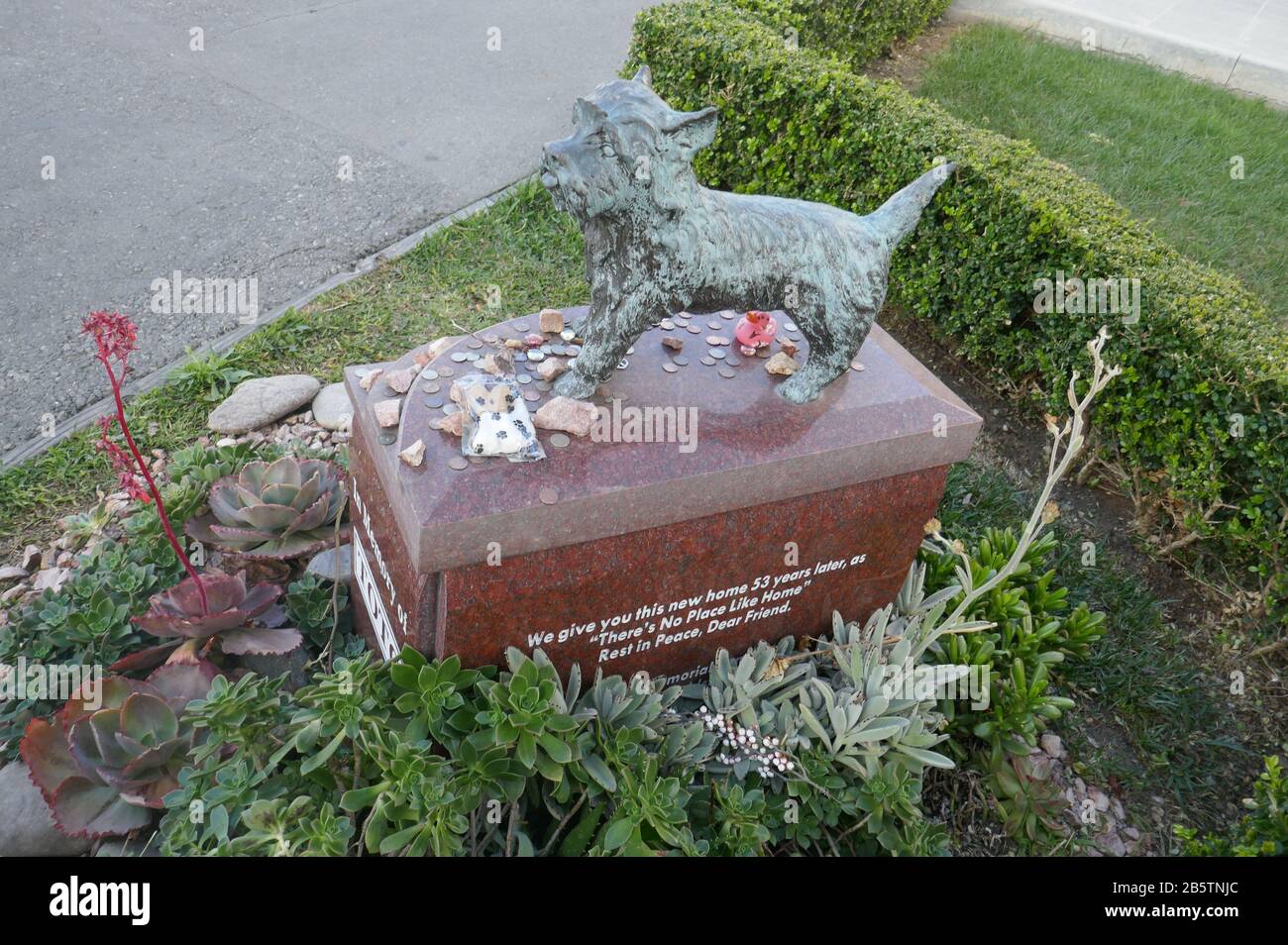 Hollywood, California, USA 7th March 2020 A general view of atmosphere ...